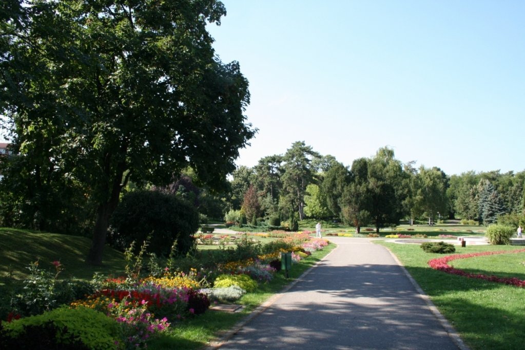 71 imagini cu Parcul Botanic, galerie foto in Timisoara