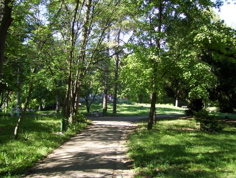 71 imagini cu Parcul Botanic, galerie foto in Timisoara