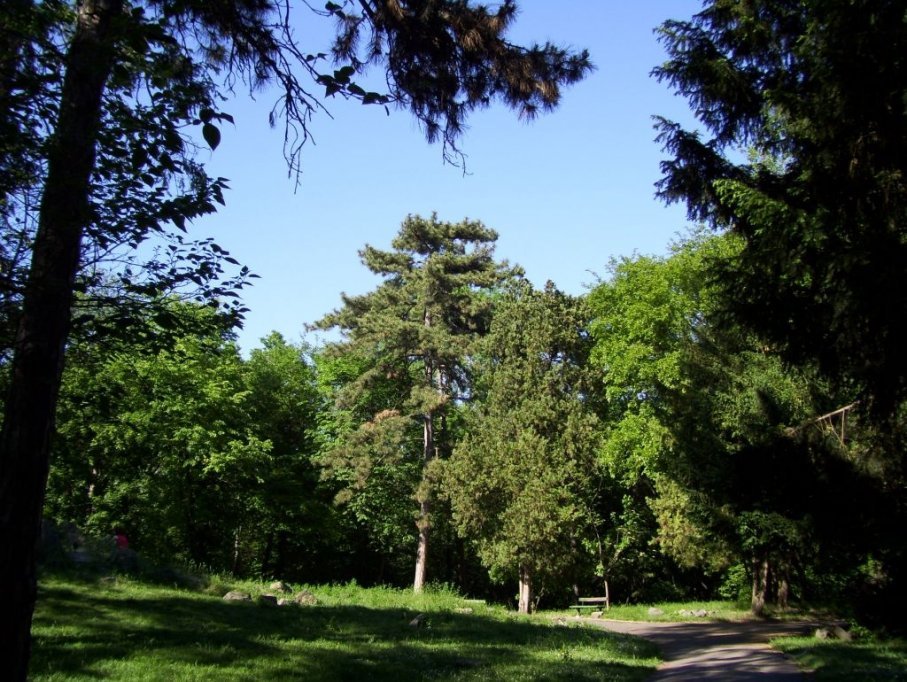 71 imagini cu Parcul Botanic, galerie foto in Timisoara