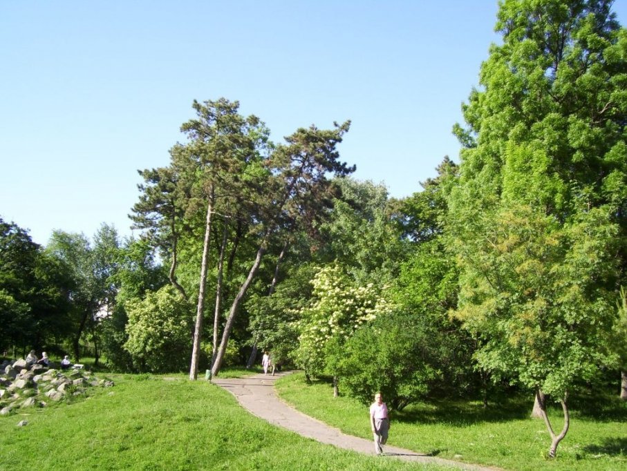 71 imagini cu Parcul Botanic, galerie foto in Timisoara
