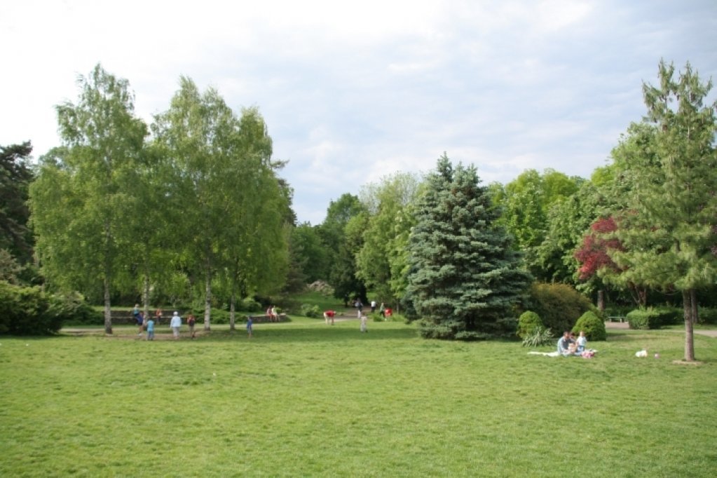 71 imagini cu Parcul Botanic, galerie foto in Timisoara