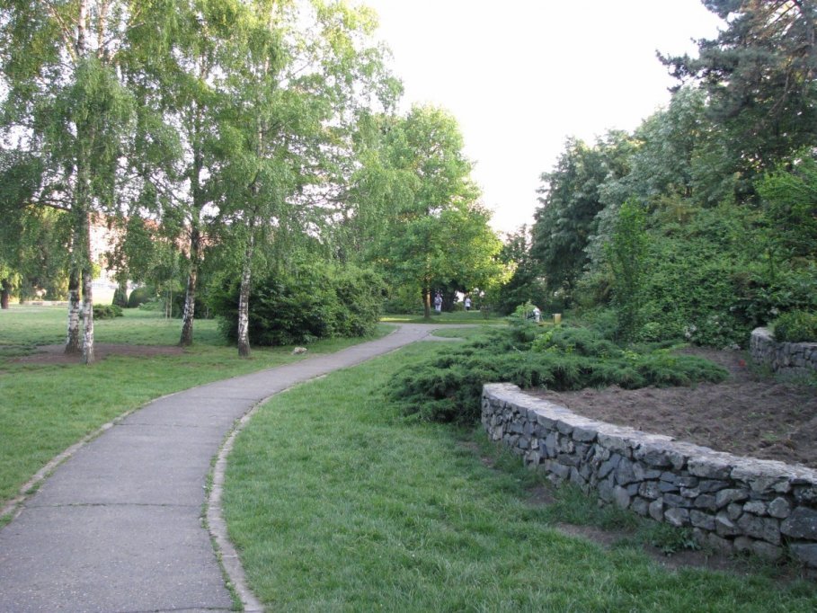 71 imagini cu Parcul Botanic, galerie foto in Timisoara