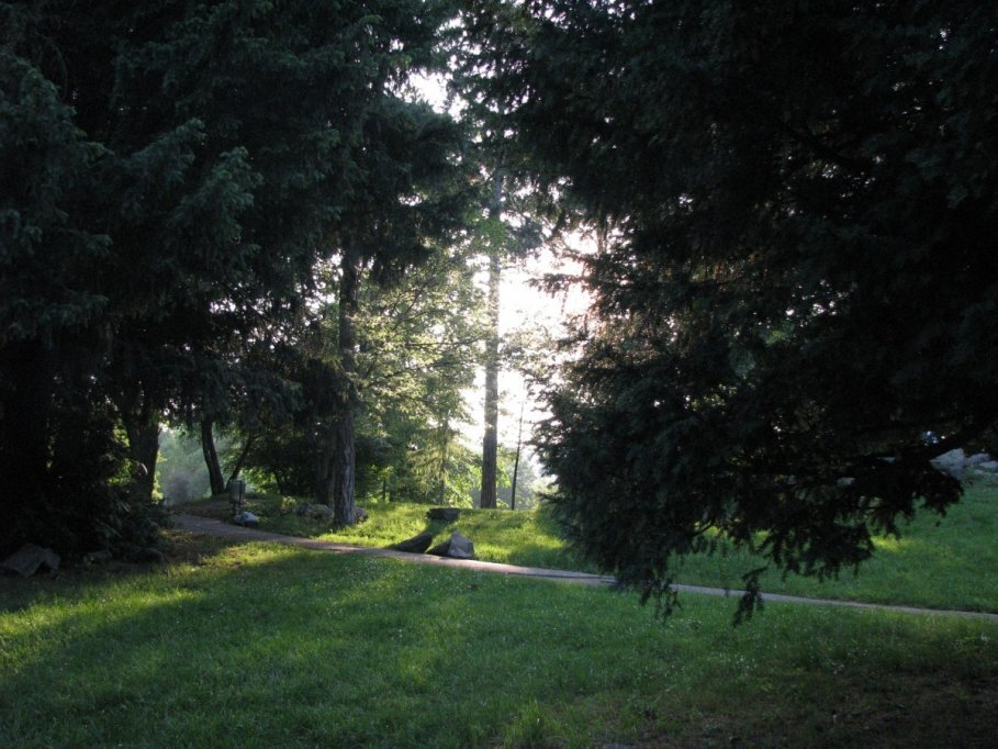 71 imagini cu Parcul Botanic, galerie foto in Timisoara