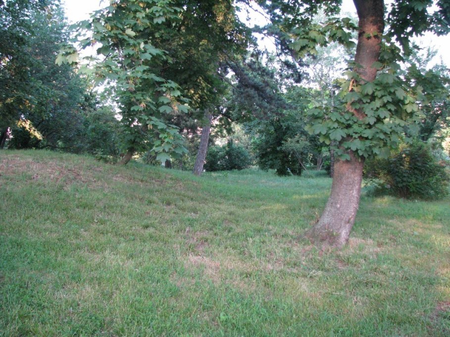 71 imagini cu Parcul Botanic, galerie foto in Timisoara
