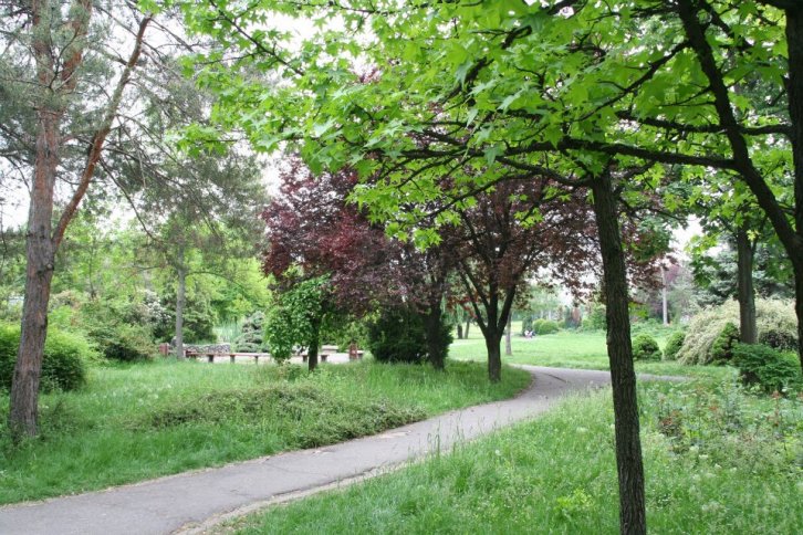 Parcul Botanic din Timisoara, galerie foto in Timisoara
