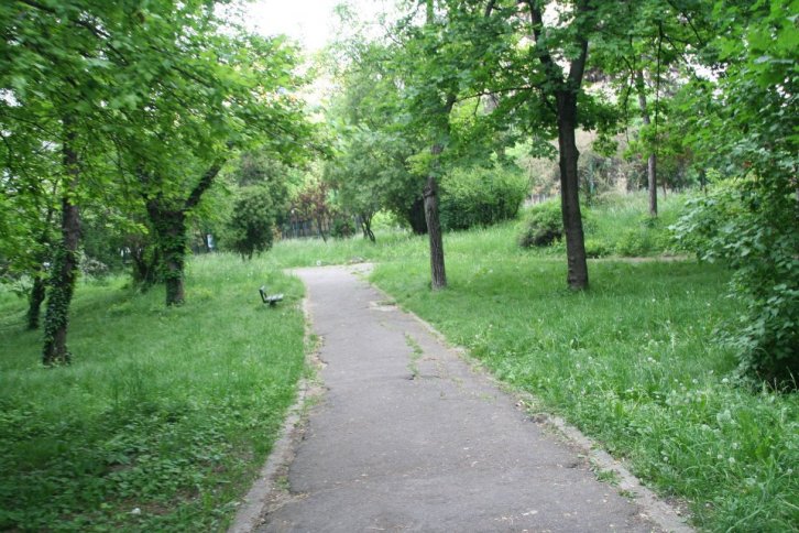 Parcul Botanic din Timisoara, galerie foto in Timisoara