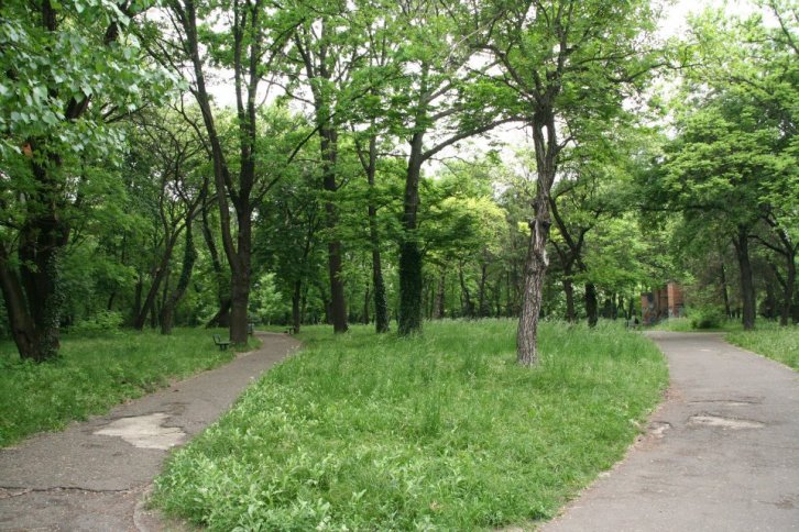Parcul Botanic din Timisoara, galerie foto in Timisoara
