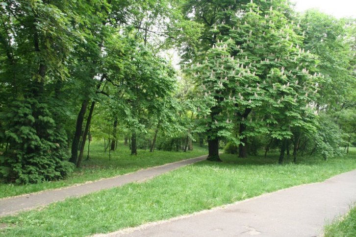 Parcul Botanic din Timisoara, galerie foto in Timisoara