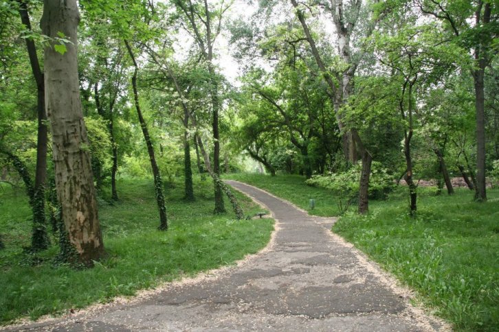 Parcul Botanic din Timisoara, galerie foto in Timisoara