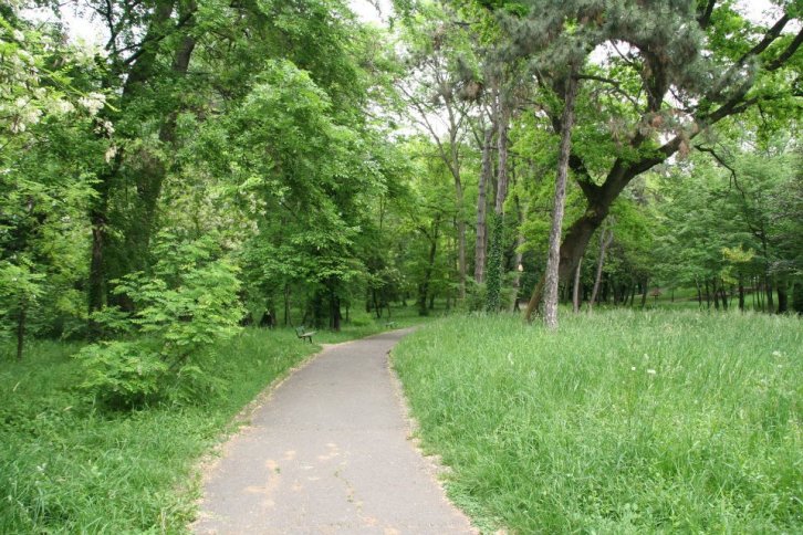 Parcul Botanic din Timisoara, galerie foto in Timisoara