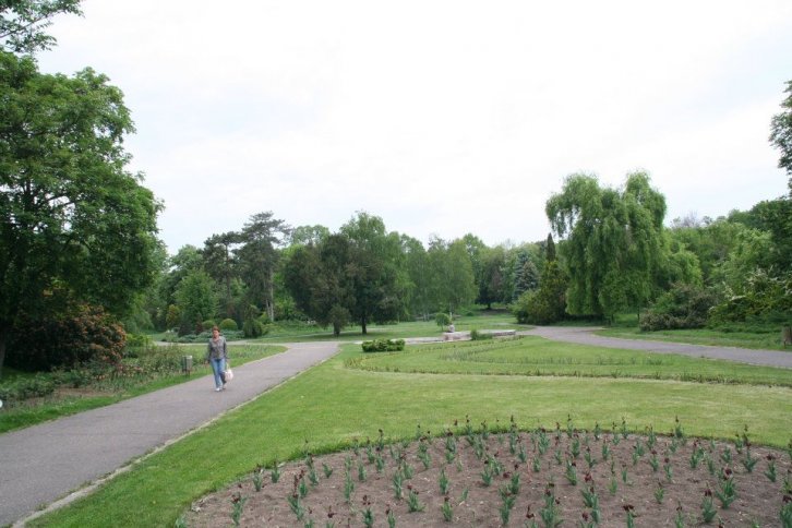 Parcul Botanic din Timisoara, galerie foto in Timisoara