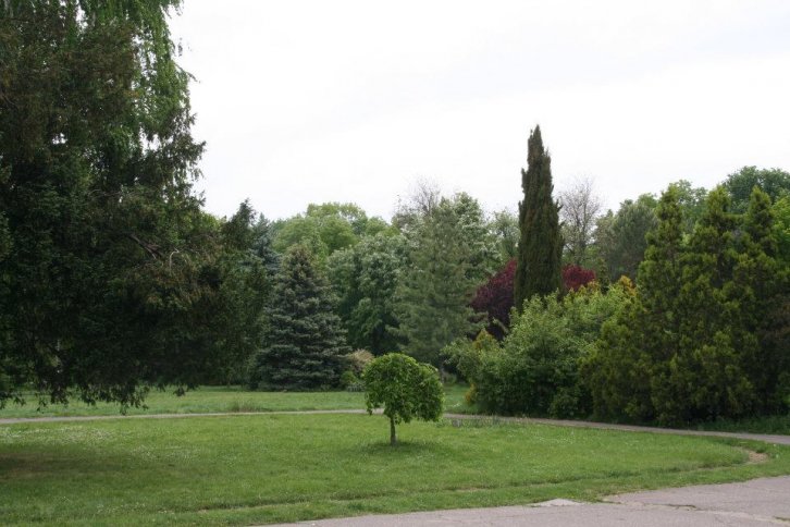 Parcul Botanic din Timisoara, galerie foto in Timisoara