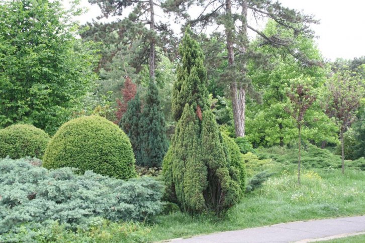 Parcul Botanic din Timisoara, galerie foto in Timisoara