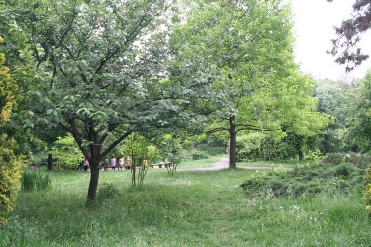 Parcul Botanic din Timisoara, galerie foto in Timisoara