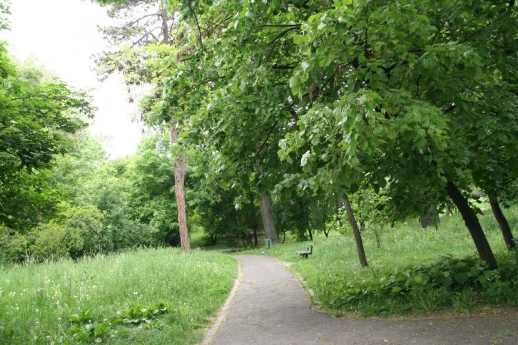 Parcul Botanic din Timisoara, galerie foto in Timisoara