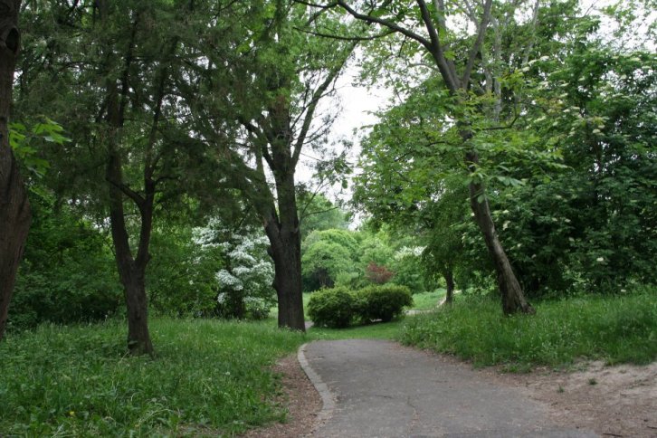 Parcul Botanic din Timisoara, galerie foto in Timisoara