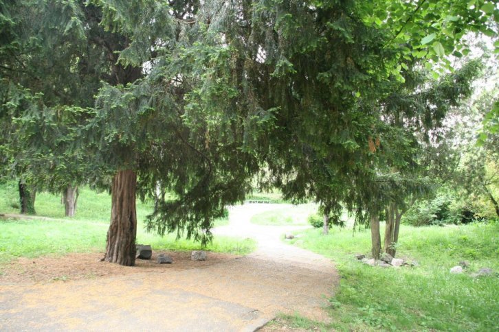Parcul Botanic din Timisoara, galerie foto in Timisoara