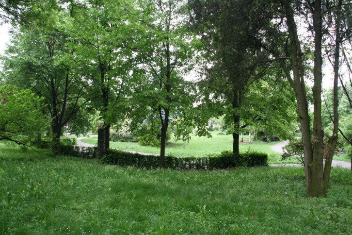 Parcul Botanic din Timisoara, galerie foto in Timisoara