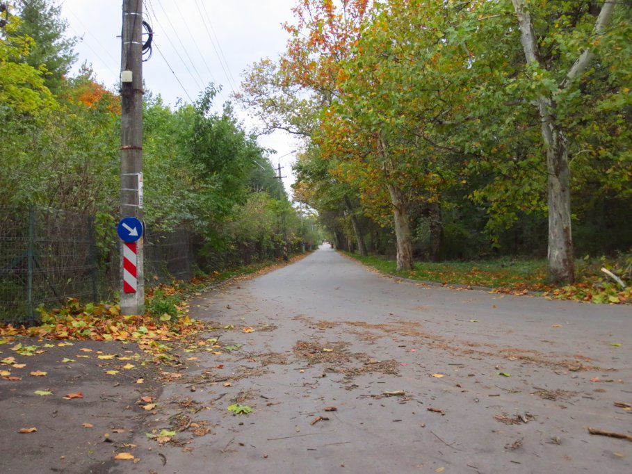 Aleea Padurea Verde, strada din Timisoara | Timisoreni.ro