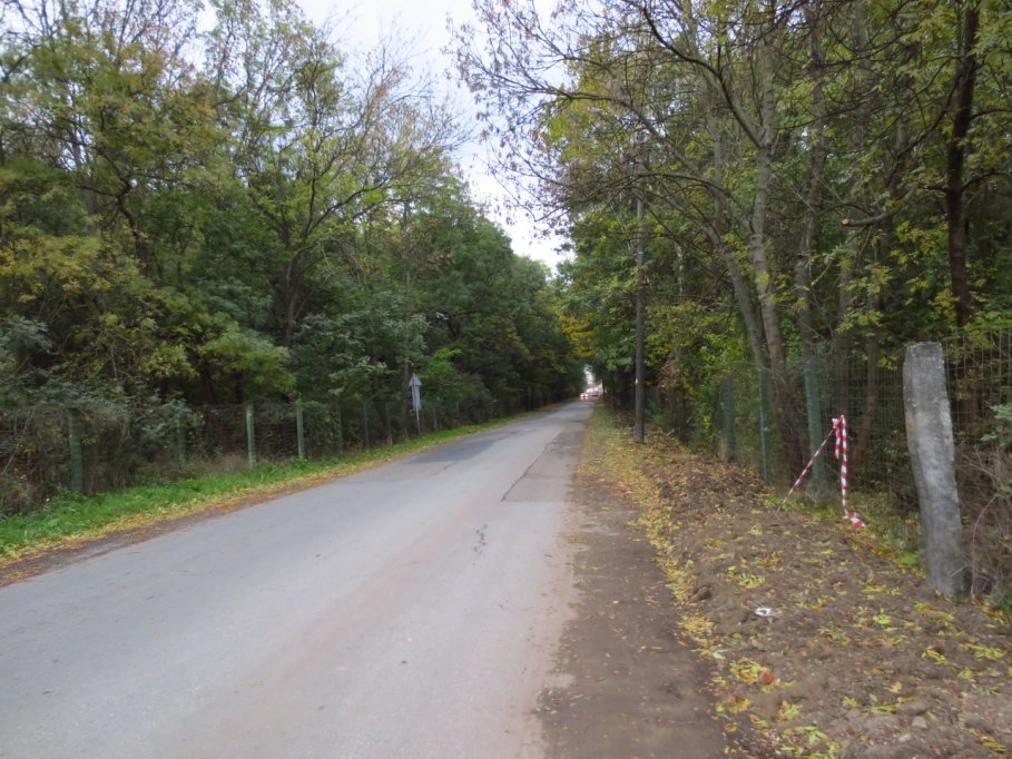 Aleea Padurea Verde, strada din Timisoara