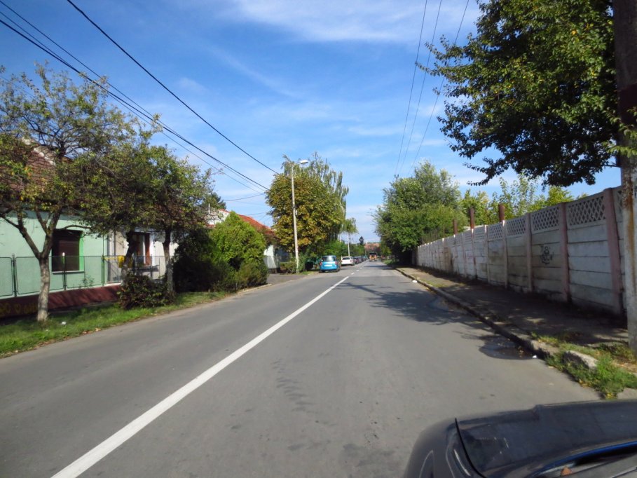 Strada Albinelor, strada din Timisoara