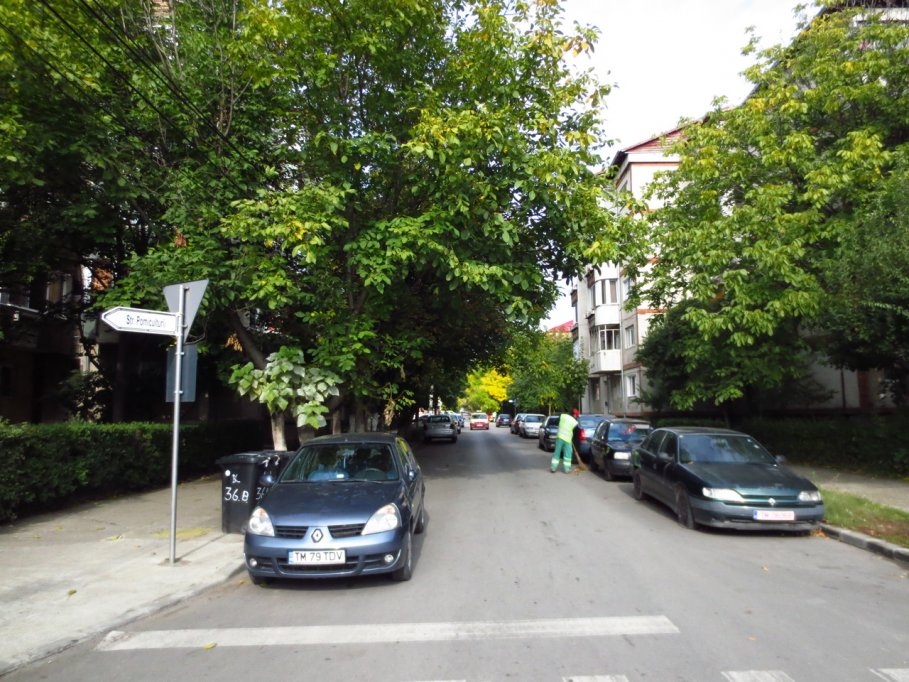 8 locatii pe Strada Constantin Radulescu Motru, strada din Timisoara