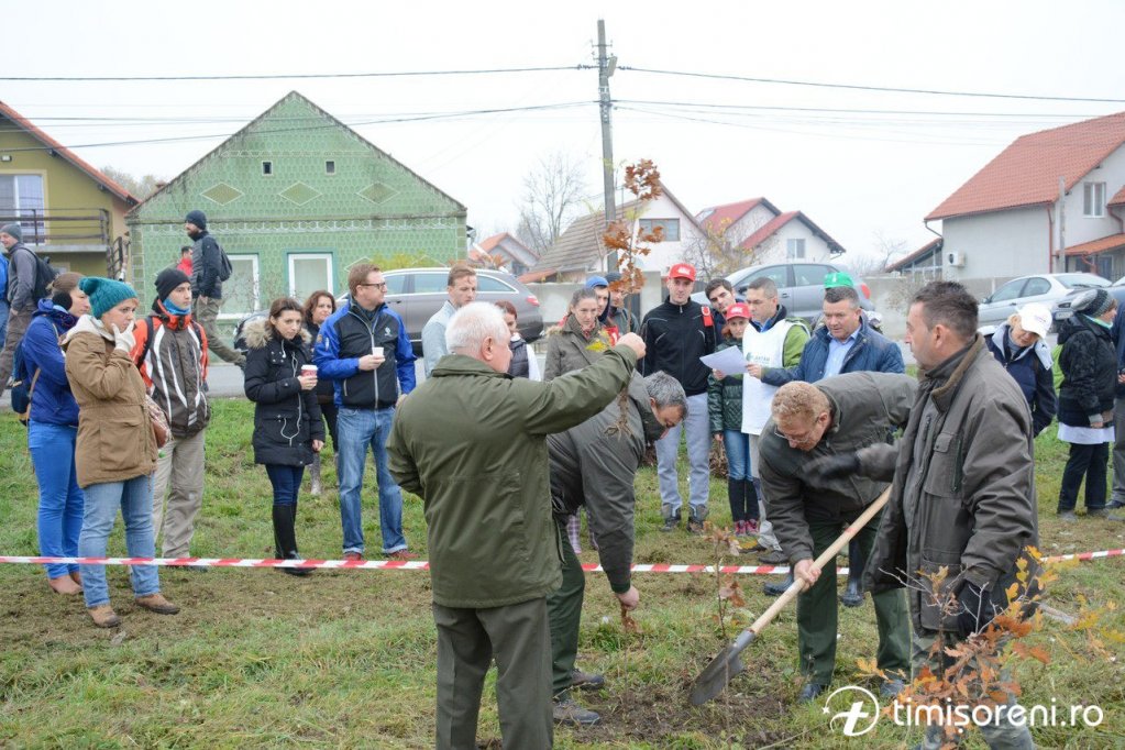 292 imagini cu Plantam Fapte Bune - 18 noiembrie 2017, galerie foto in ...