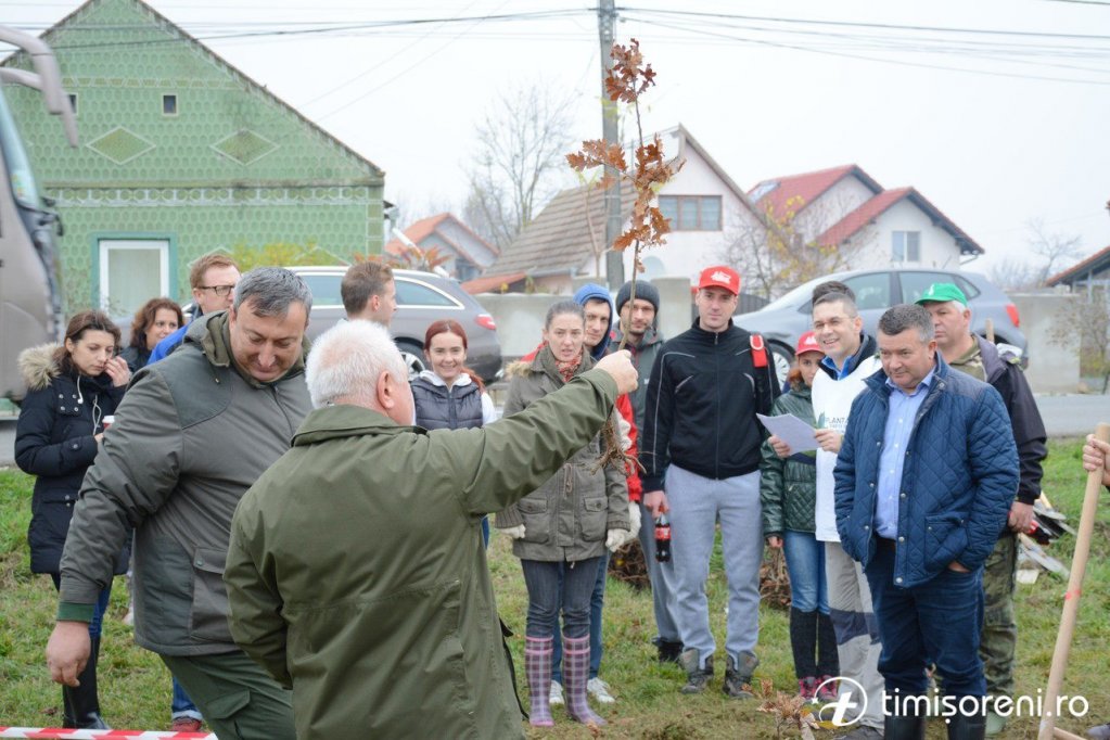292 imagini cu Plantam Fapte Bune - 18 noiembrie 2017, galerie foto in ...