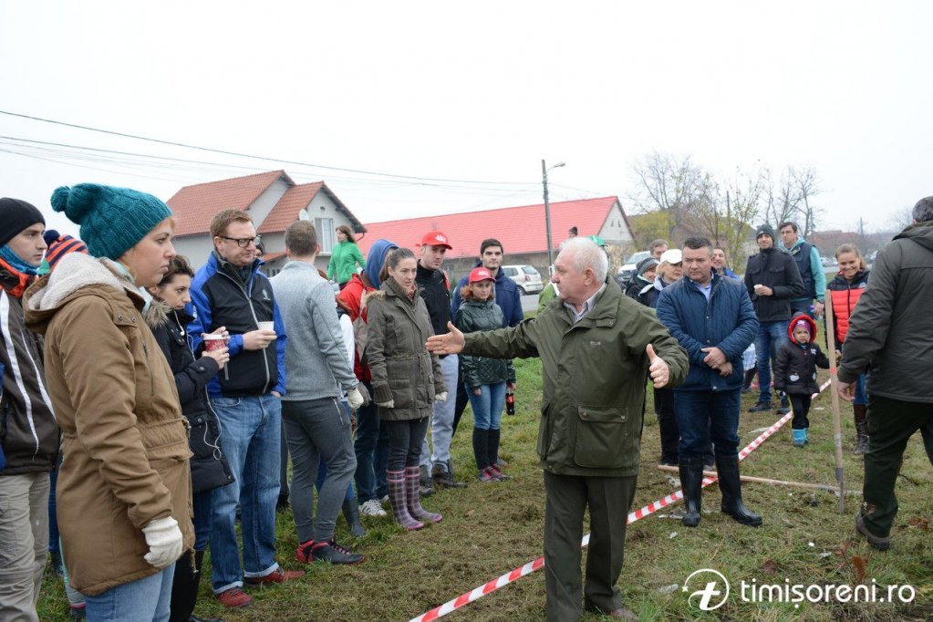 292 imagini cu Plantam Fapte Bune - 18 noiembrie 2017, galerie foto in ...