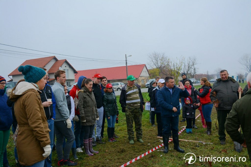 292 imagini cu Plantam Fapte Bune - 18 noiembrie 2017, galerie foto in ...